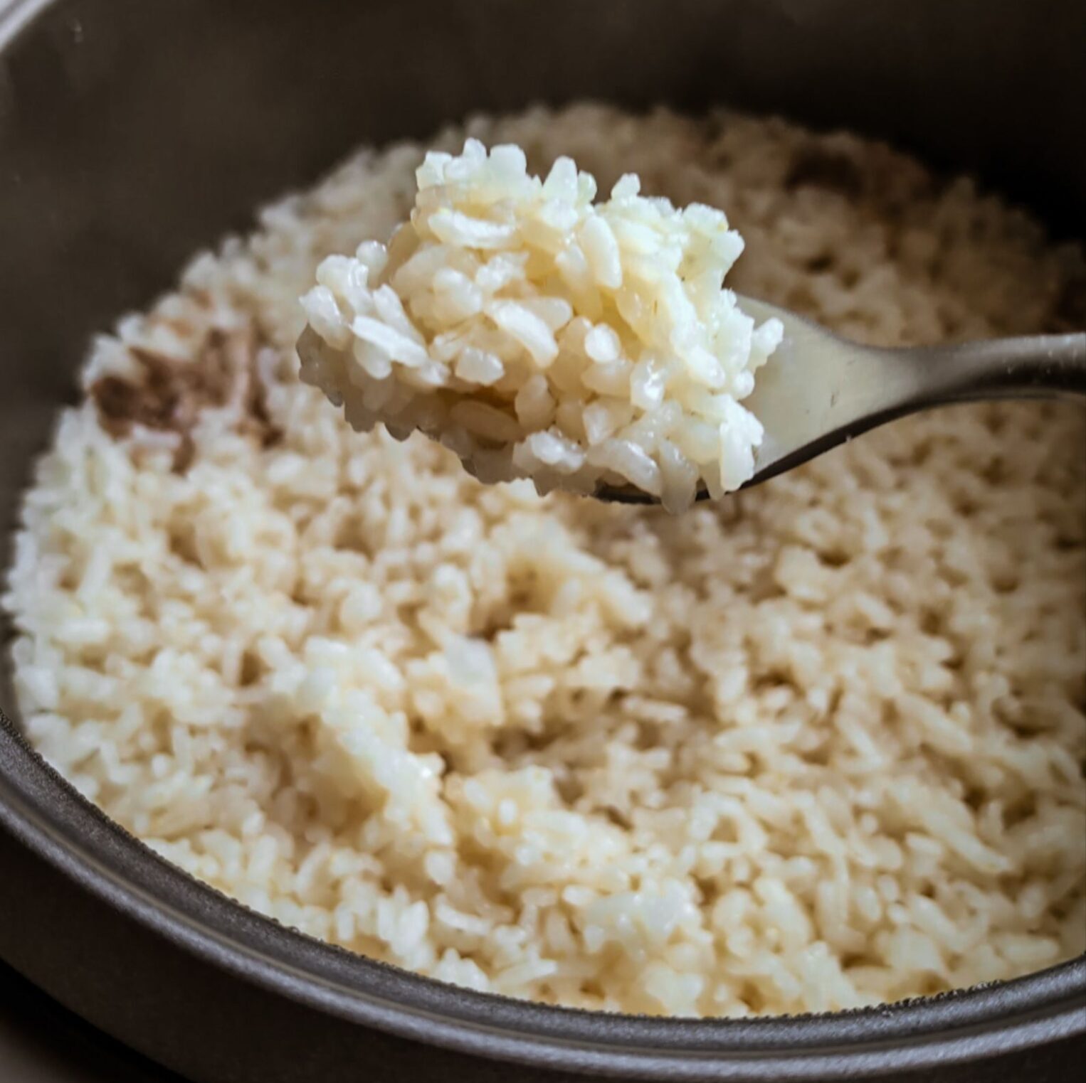 Pilaf me lëng mishi në Rice cooker - Bake My Day Happy